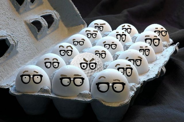 Fixed-odds betting and traditional odds - Sports Trading Network